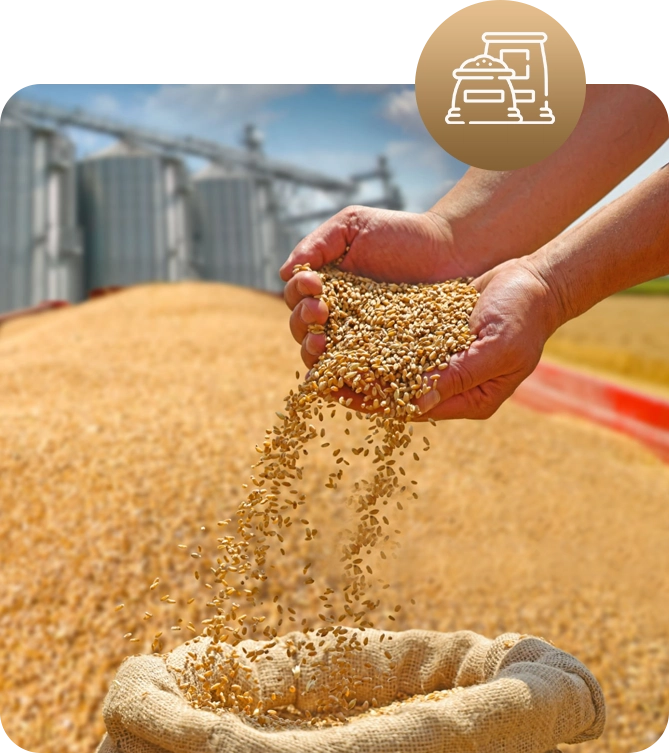 CE Logistic: Soluciones Globales en Logística, Aviación y Energía – CE Europe